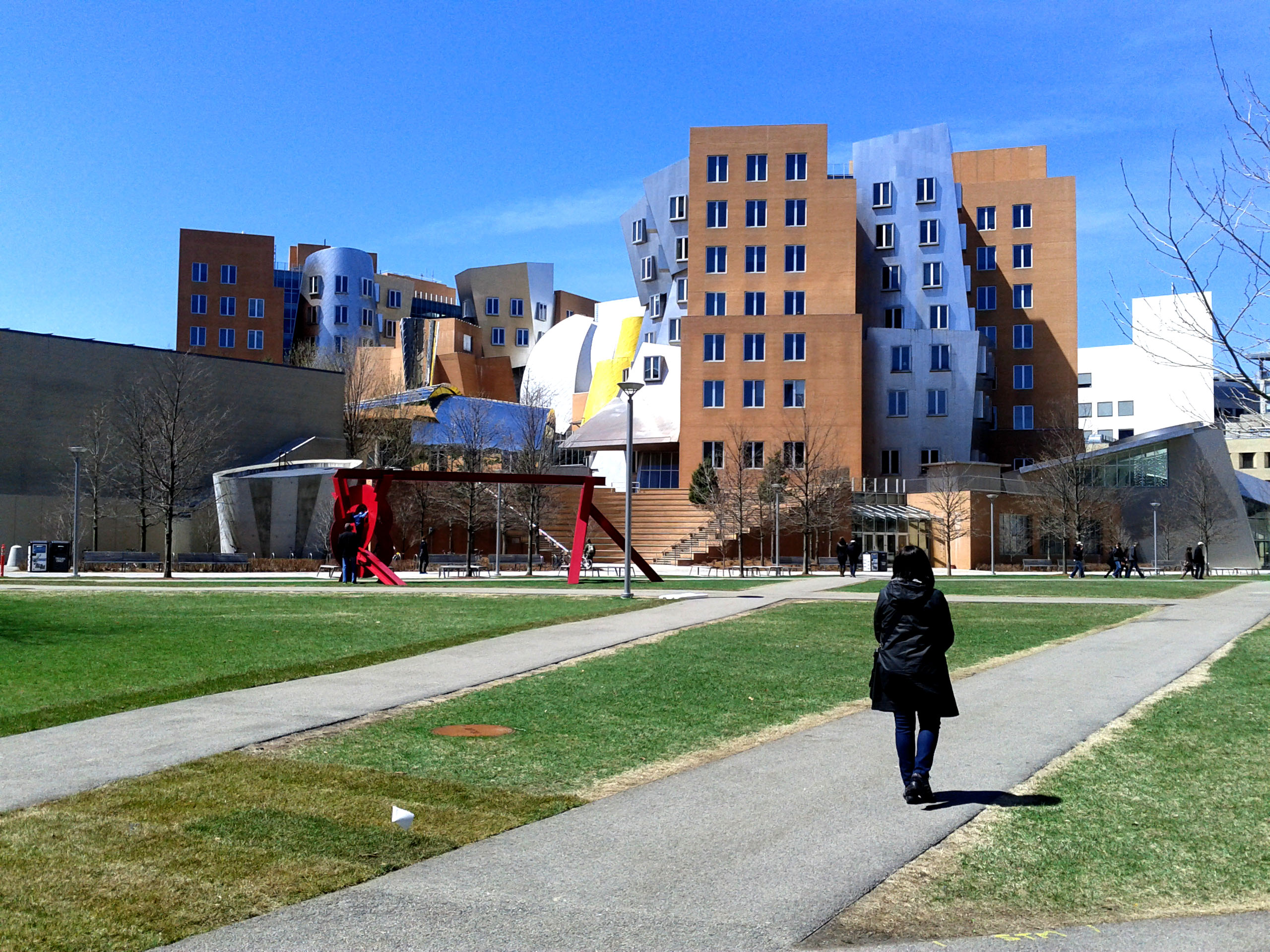 Spring on MIT campus | Gabrielle Trépanier-Jobin